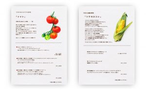 HATAKE AOYAMA｜NONFRAME